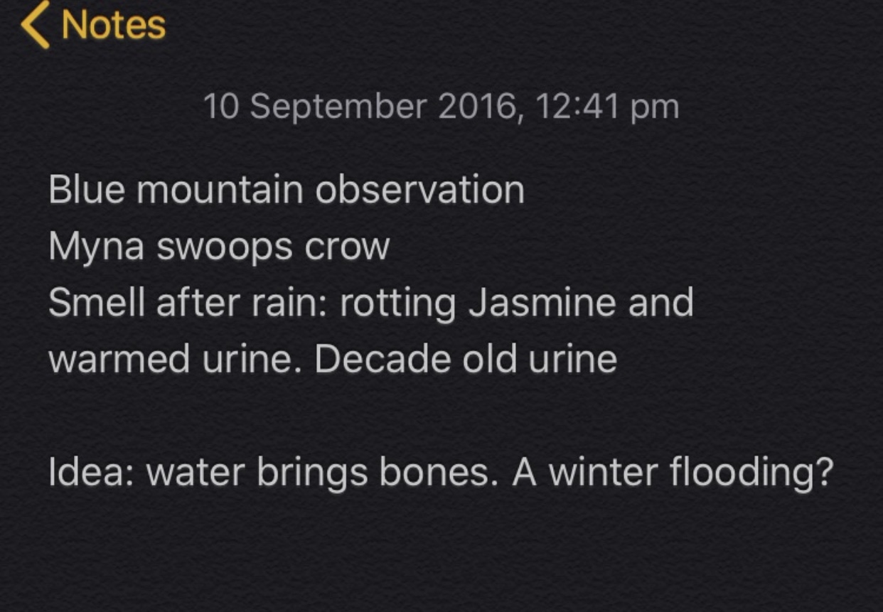 Clearing out the dead notes | Sarah Schmidt Writes